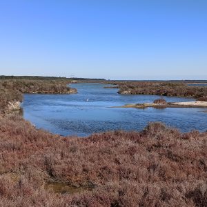 Randonnée des Aresquiers, Vic-la-Gardiole 34 - Facile 9km 3h