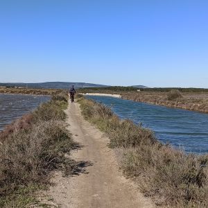 Randonnée des Aresquiers, Vic-la-Gardiole 34 - Facile 9km 3h
