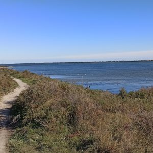 Randonnée des Aresquiers, Vic-la-Gardiole 34 - Facile 9km 3h