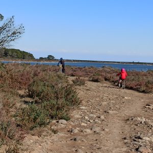 Randonnée des Aresquiers, Vic-la-Gardiole 34 - Facile 9km 3h
