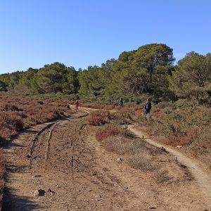 Randonnée des Aresquiers, Vic-la-Gardiole 34 - Facile 9km 3h