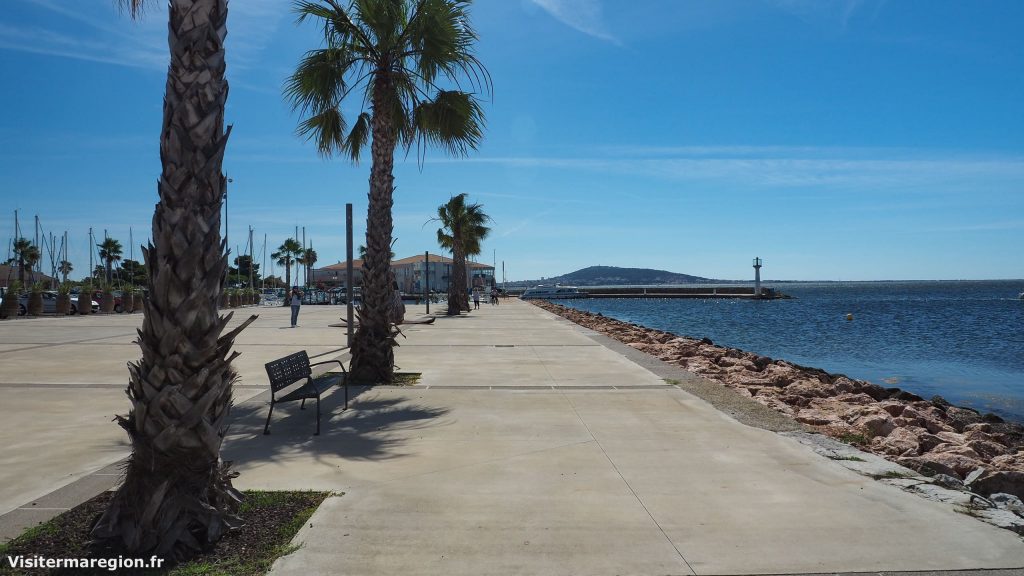 Promenade sur le port de Mèze - Visite & Balade de la ville