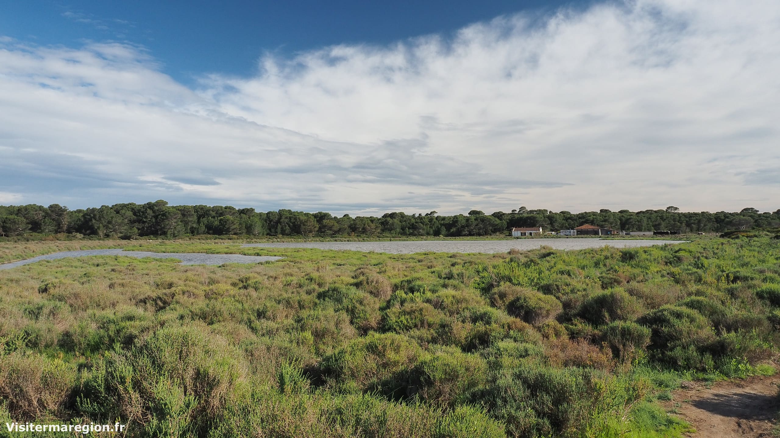 Randonnée des Aresquiers, Vic-la-Gardiole 34 - Facile 9km 3h