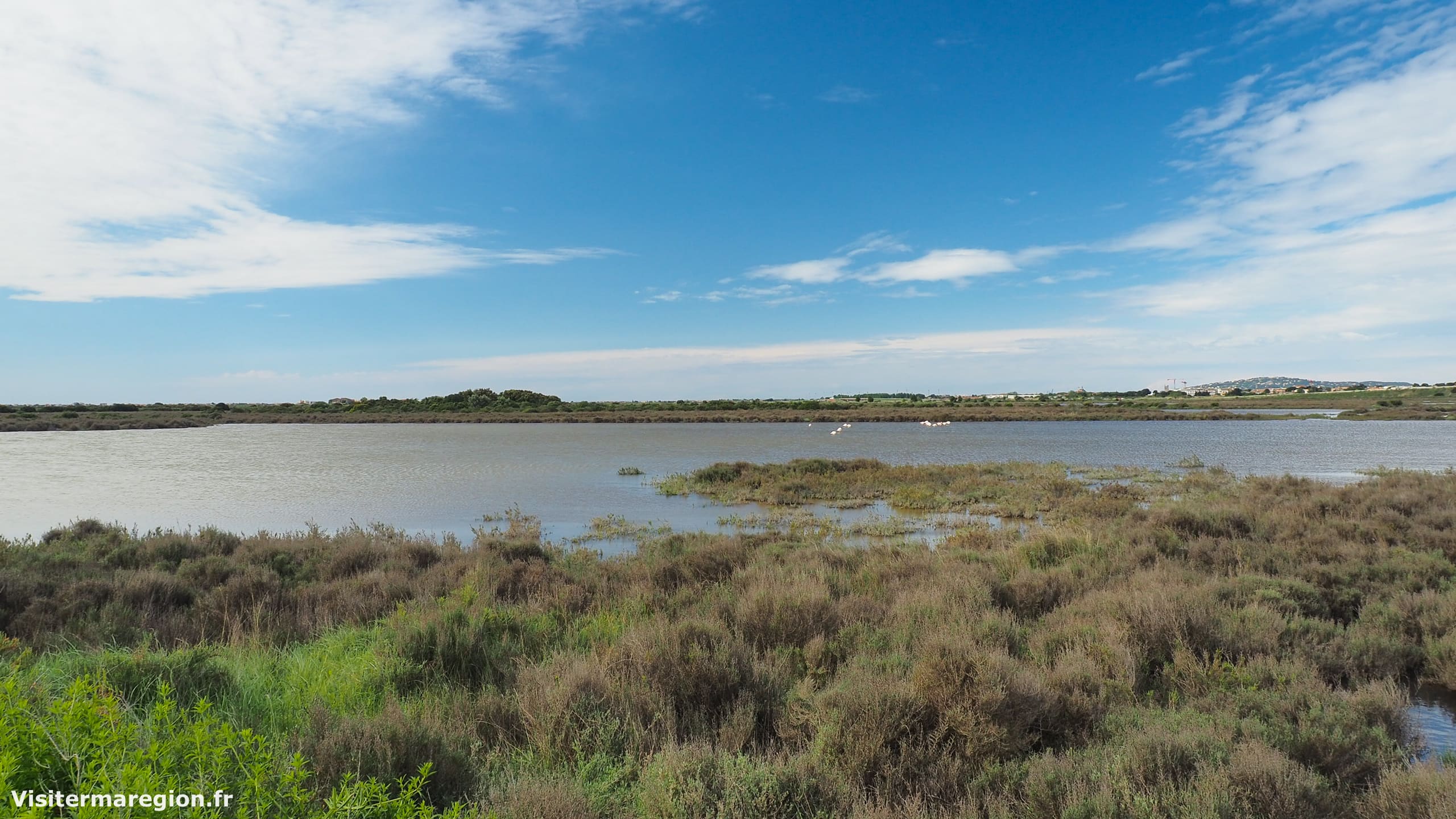 Randonnée des Aresquiers, Vic-la-Gardiole 34 - Facile 9km 3h