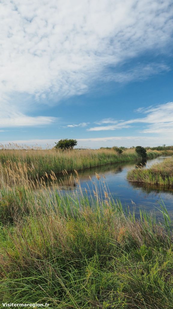 Randonnée des Aresquiers, Vic-la-Gardiole 34 - Facile 9km 3h