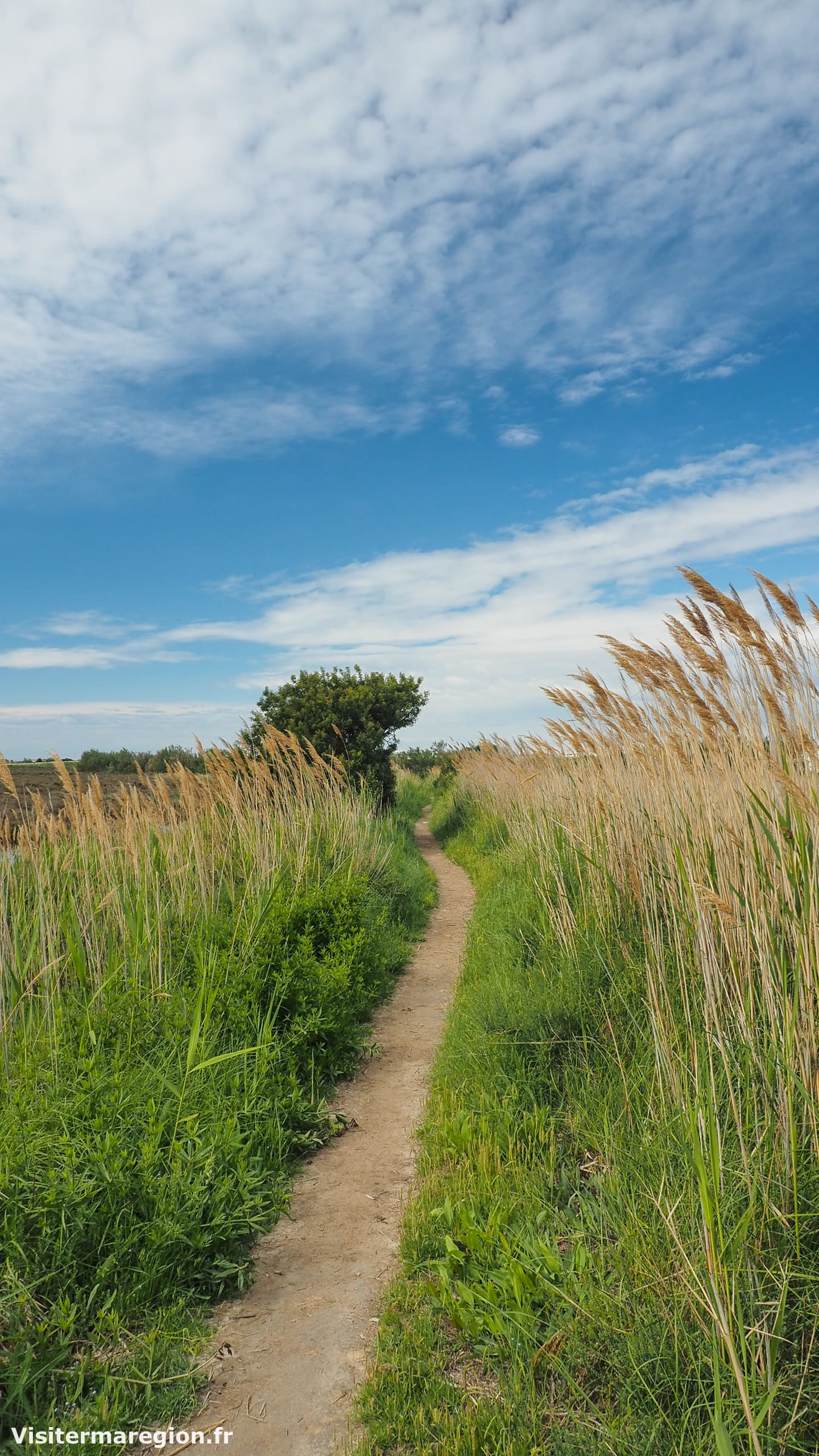 Randonnée des Aresquiers, Vic-la-Gardiole 34 - Facile 9km 3h