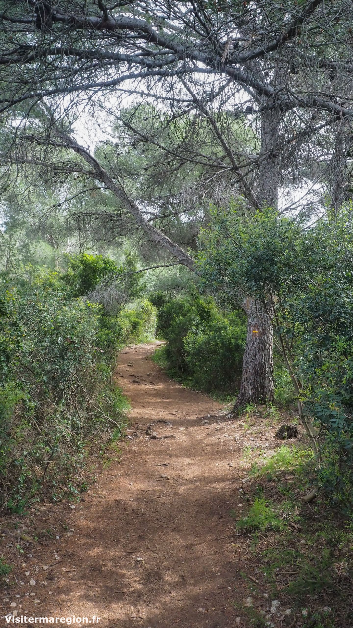Randonnée des Aresquiers, Vic-la-Gardiole 34 - Facile 9km 3h