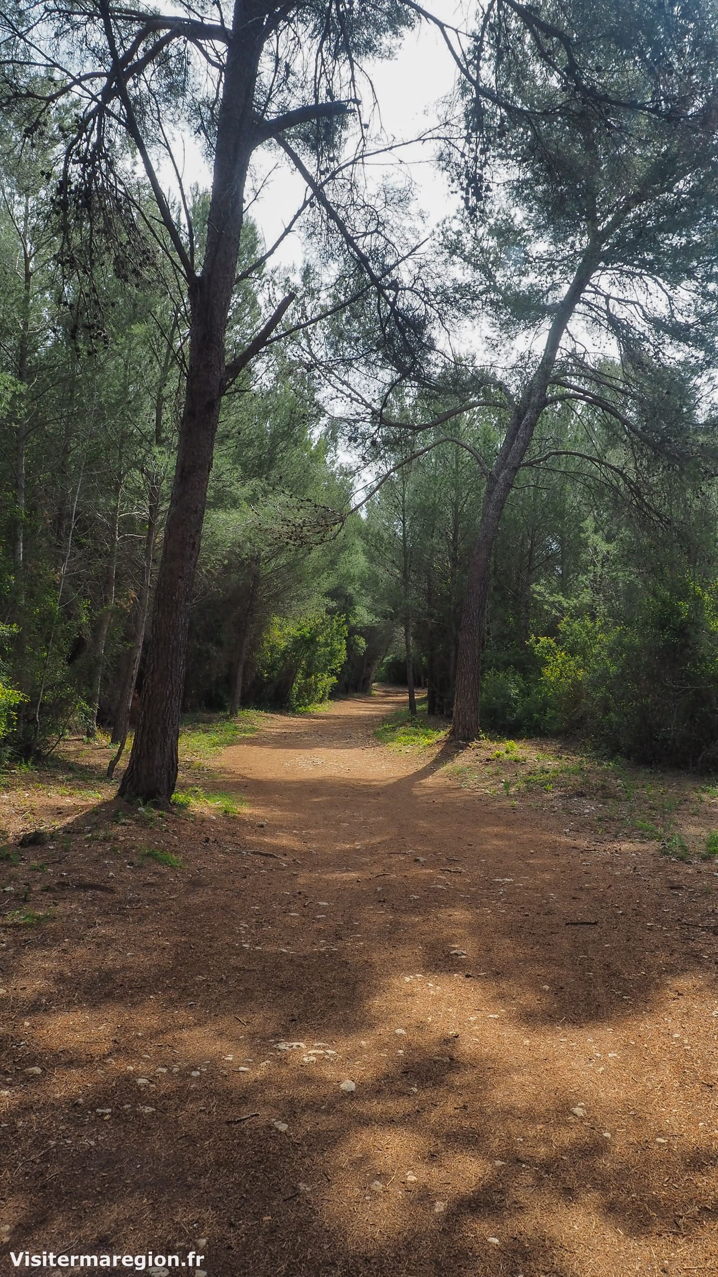Randonnée des Aresquiers, Vic-la-Gardiole 34 - Facile 9km 3h