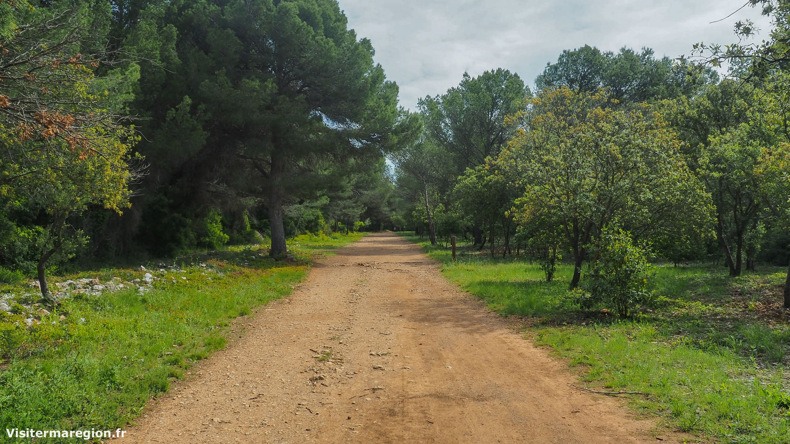 Randonnée des Aresquiers, Vic-la-Gardiole 34 - Facile 9km 3h