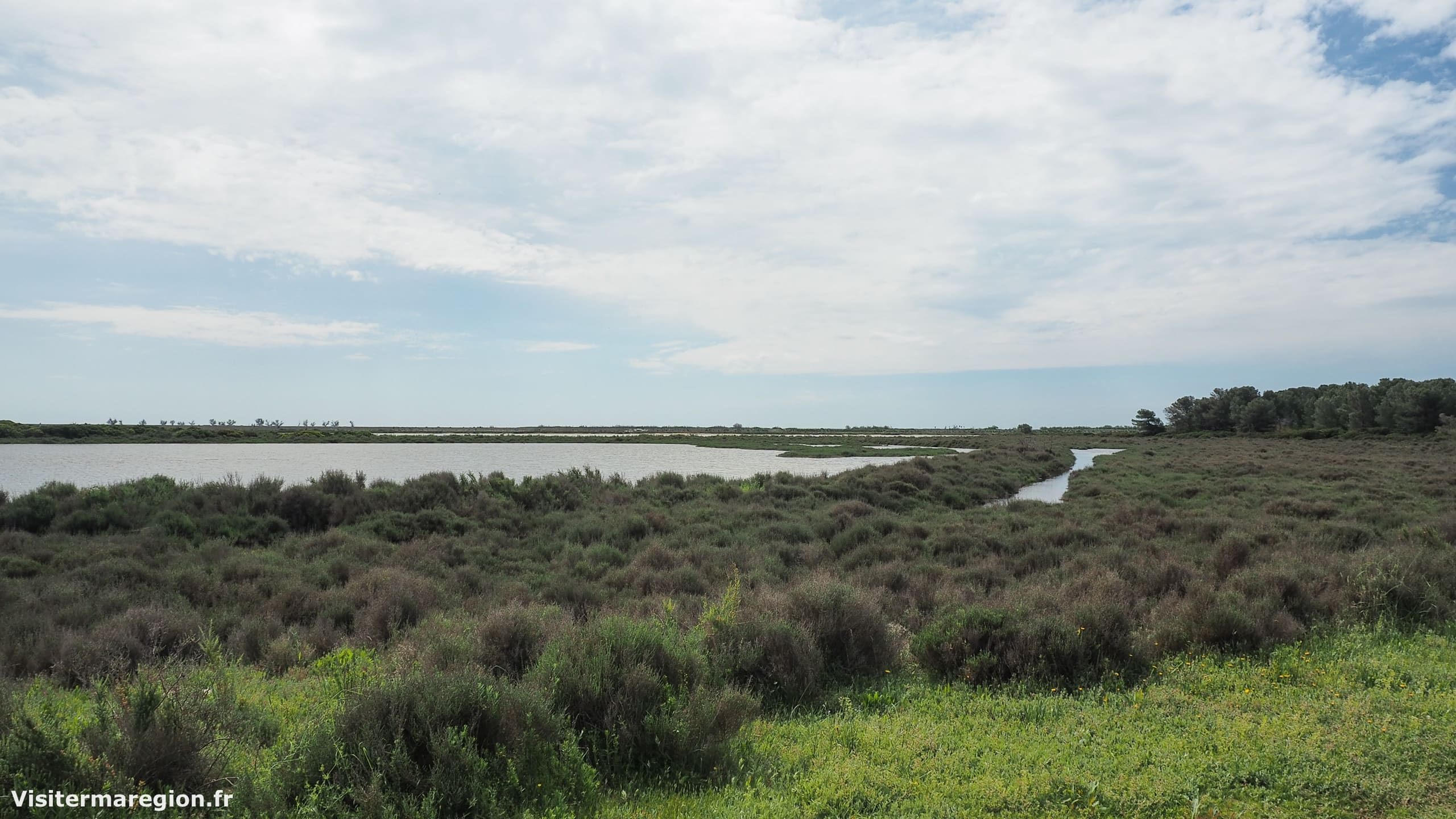 Randonnée des Aresquiers, Vic-la-Gardiole 34 - Facile 9km 3h