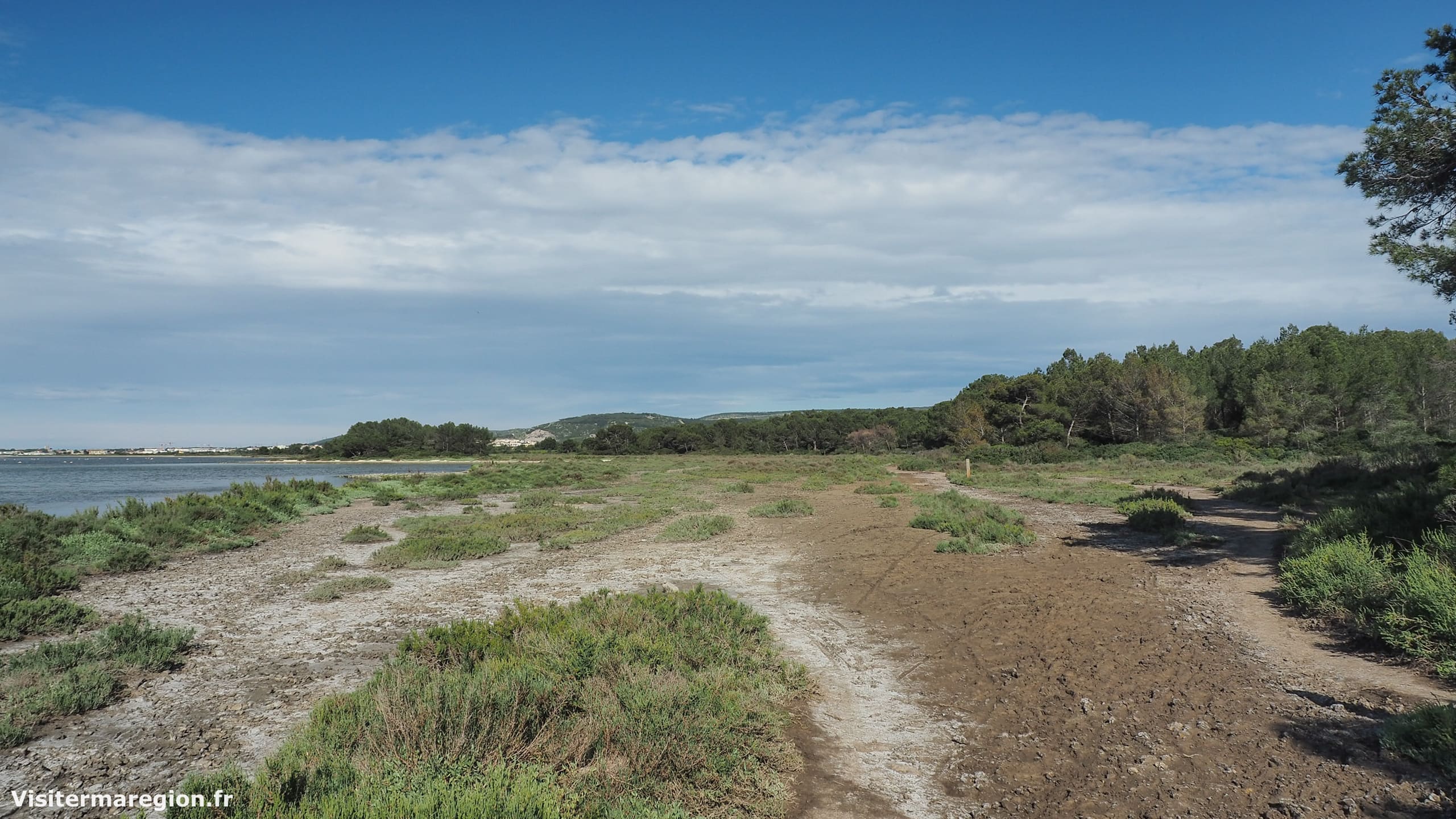 Randonnée des Aresquiers, Vic-la-Gardiole 34 - Facile 9km 3h