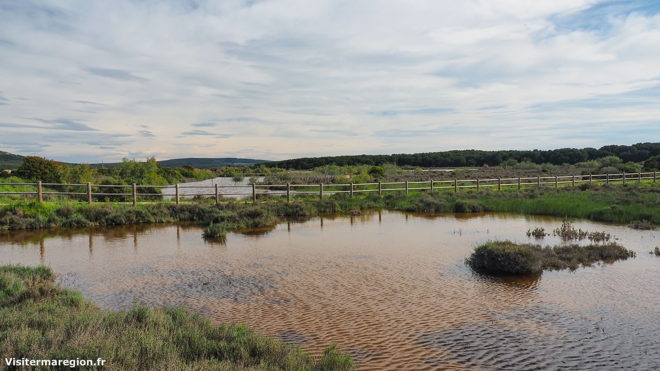 Randonnée des Aresquiers, Vic-la-Gardiole 34 - Facile 9km 3h