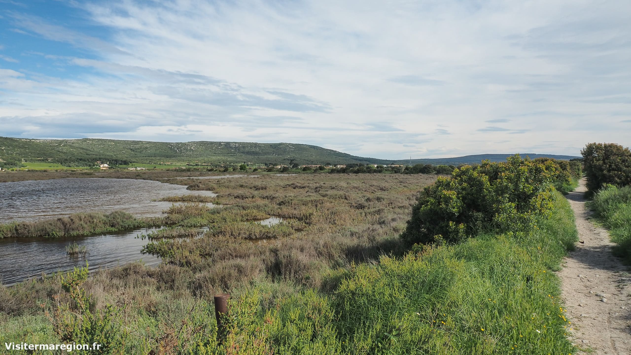 Randonnée des Aresquiers, Vic-la-Gardiole 34 - Facile 9km 3h