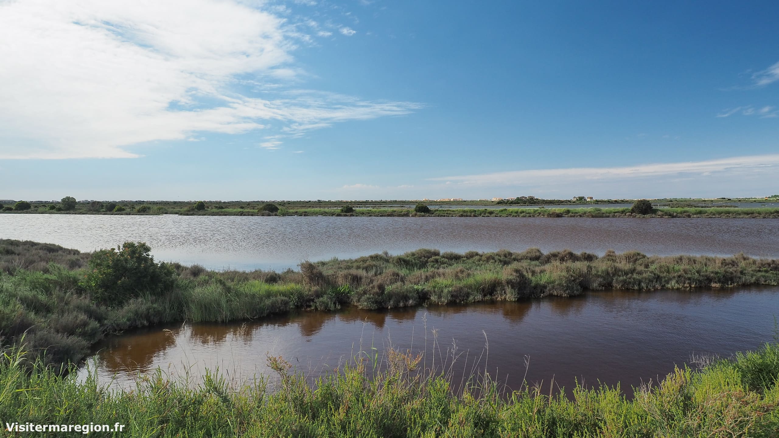 Randonnée des Aresquiers, Vic-la-Gardiole 34 - Facile 9km 3h
