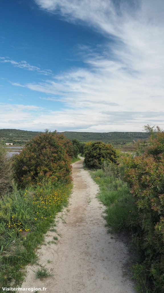 Randonnée des Aresquiers, Vic-la-Gardiole 34 - Facile 9km 3h